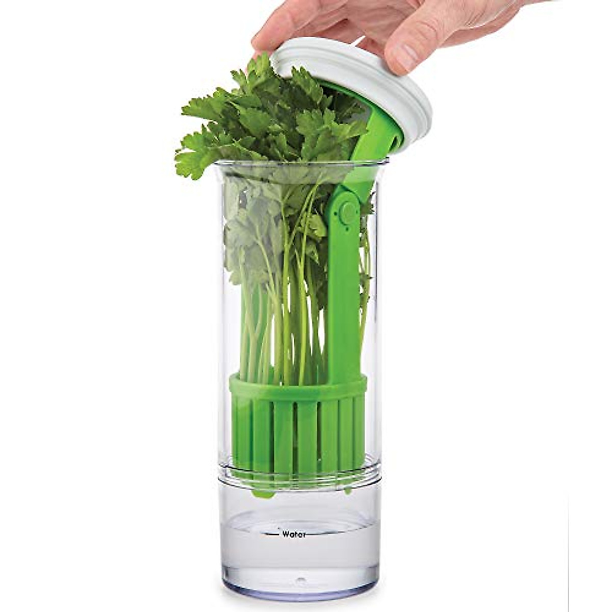 Prepworks by Progressive Prep Solutions Produce Keeper