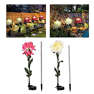 Yuehuam Solar Garden Stake Lights, Solar Powered Flower Garden Lights Decorative Pathway Light Outdoor Waterproof for Flowerbed Garden, Patio, Backyard Decoration(Red)