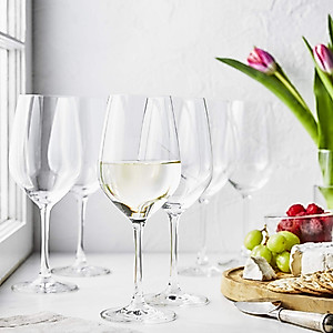 ZWILLING J.A. HENCKELS 6 Piece Predicat Burgundy Glass Set, 13.6 oz, White