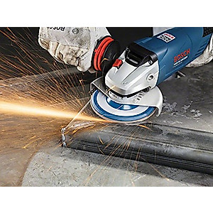 Bosch Professional 2608607367 Metal Prof 125mm Flap disc Straight Plastic G80, Blue/Brown