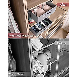BRUINAGORA Closet Organizers and Storage, Closet Pullout Drawer, Under Shelf Storage Organizer, Adjustable Clips for Underwear, Bra, Lingerie, Panties, Undies, Grey/2 Pack