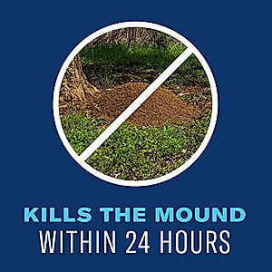 BioAdvanced 24 Hour Lawn Insect & Fire Ant Killer, Granules, 10 lb