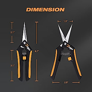 Zegos Bud Trimming Scissor 1 Pack with Stainless-Steel Straight Blades, Precision Pruning Shears, Hand Pruning Snips, Garden Scissors for Herb and Bud Trimming, Bonsai Cutting (1 Pack)
