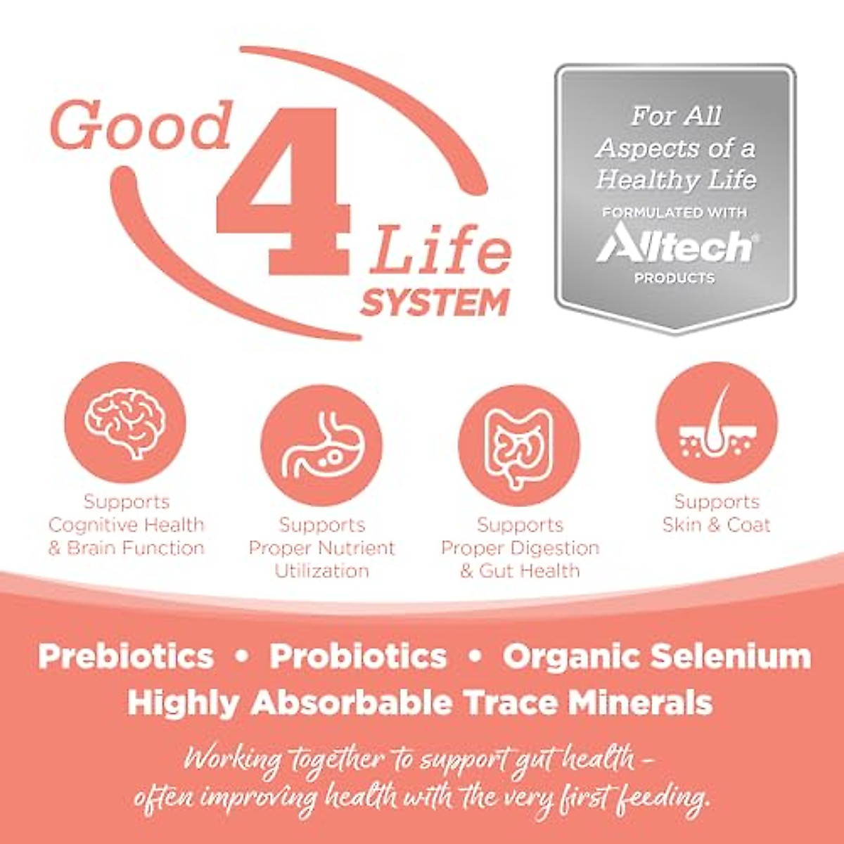 NutriSource Seafood Select Grain-Free Dog Food, Made with Salmon and Menhaden Fish Meal, 5LB, Dry Dog Food