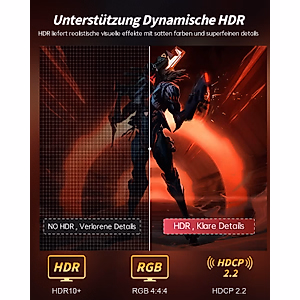 AGFINEST 8K DisplayPort to HDMI Cable[8K@60Hz,4K@120Hz,2K@165Hz], 10FT Unidirectional DP 1.4 to HDMI 2.1 Video Cable, Support HDR/HDCP 2.3/DSC 1.2 for PC, HP, DELL, AMD NVIDIA Graphics Card and More