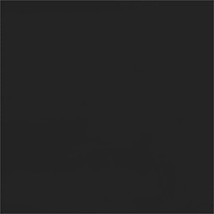 BOWERY HILL Contemporary Tempered Glass Top Double Pedestal Dining Table in Black