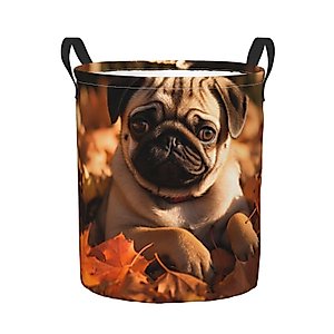 FeHuew Pug on Autumn Leaves Collapsible Laundry Basket with Handle Waterproof Hamper Storage Organizer Large Bins for Dirty Clothes, toys