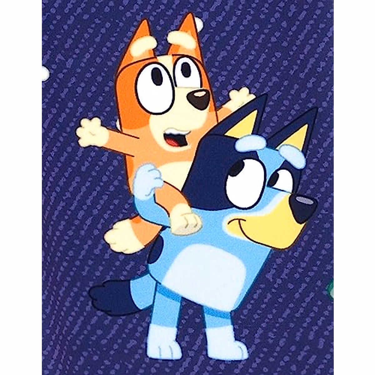 Bluey Bingo Toddler Girls T-Shirt and Leggings Outfit Set Green/Blue 2T