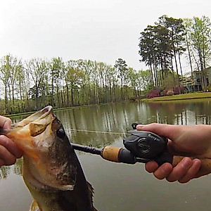 Tempo Vertix LP, High-Tech Innovative Baitcasting Reel, 9 + 1 BB, Low Profile & Lightweight, Powerful & Durable, 6.6:1 Gear Ratio, Great Value