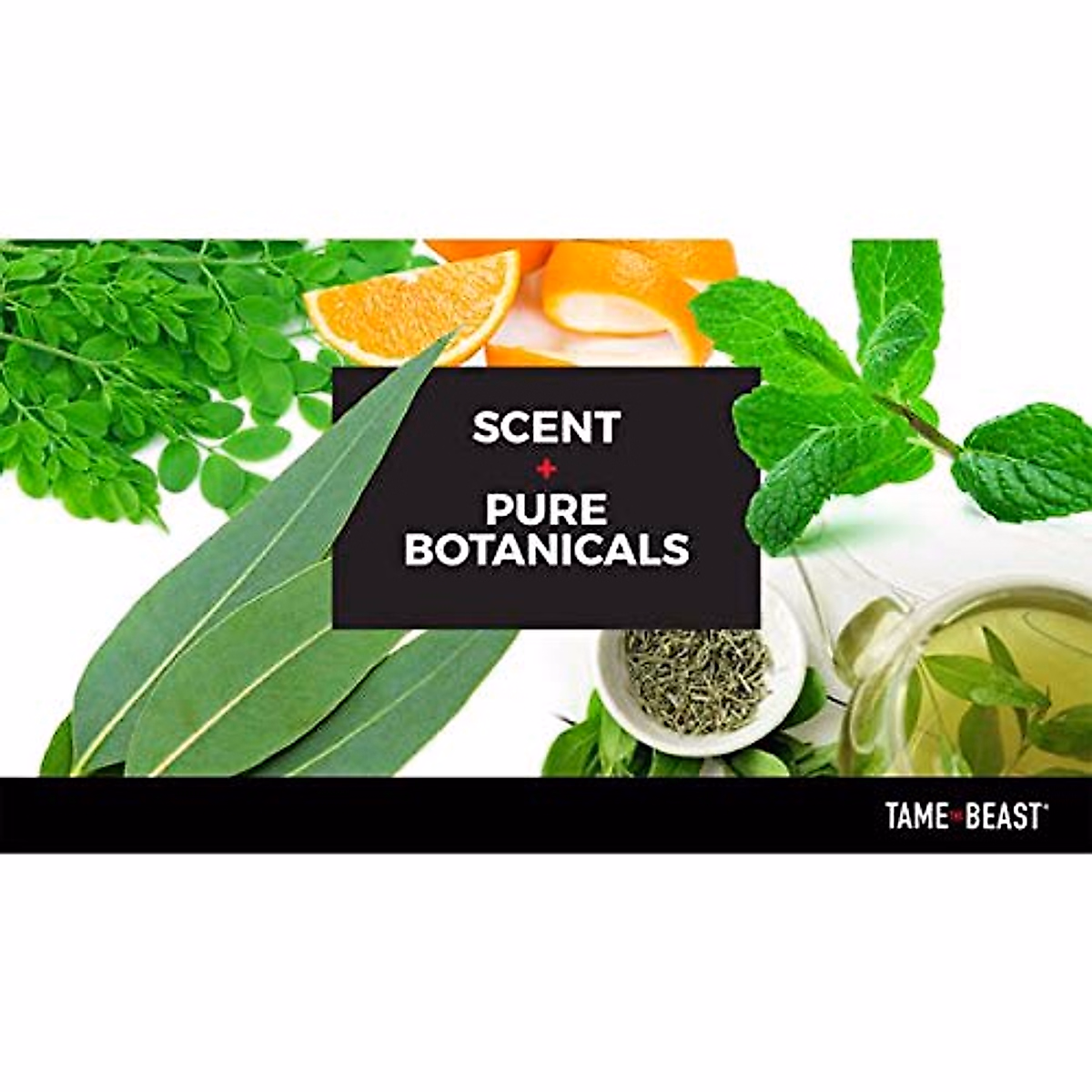 Beast Tingle Shampoo Refill Pouch, 16oz - Cleansing & Energizing, Ginseng, Caffeine, Tea Tree, Peppermint & Eucalyptus Oils (16 oz)