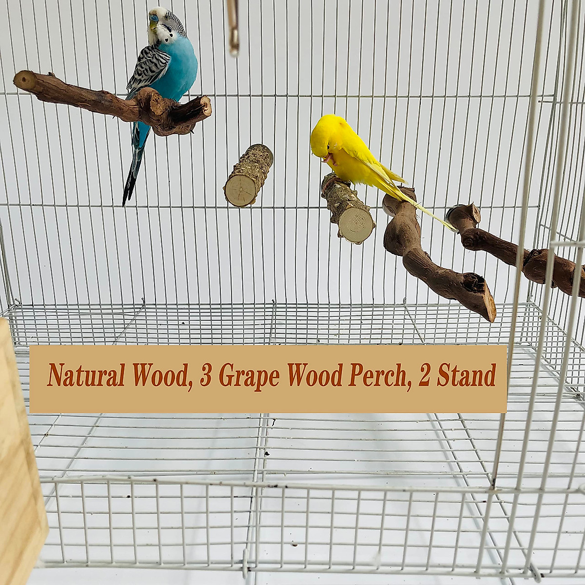 5PCS Bird Perch Stand Natural Wooden Parrot Stand Branch, 3 Grape Wood Perch, 2 Stand, Paw Grinding Fork Parakeet Chewing Stick Exercise Training Branches for Cockatiels, Small Birds