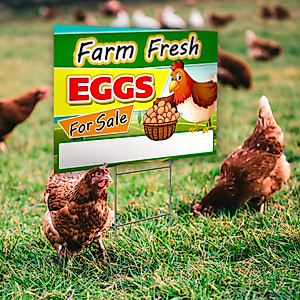 Fresh Eggs for Sale Sign - 18 x 24 Double Sided Coroplast Large Eggs for Sale Sign - Farm Fresh/We Sell Eggs Sign Outdoor Yard