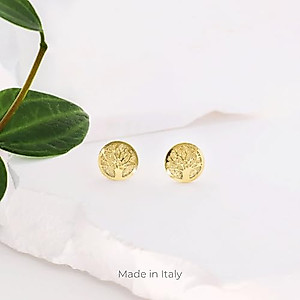 Lucchetta - 14 karat Yellow Gold Tree of Life Studs | 14k Solid Gold Earrings for Women | diameter 0.39in