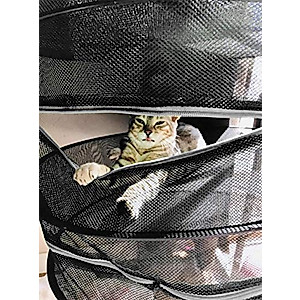 Herb Drying Rack Net Dryer 4 Layer 2ft Black W Zippers Mesh Hydroponics Mesh Collapsible Hanging Dryer Net Lights Carrying Case Indoor & Outdoor