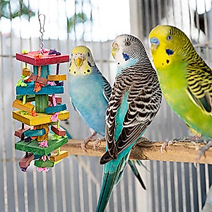 Dono Parrot Knots Blocks Chew Wooden Block Bite Toys Birds African Grey Pure Colorful Knots with Multiple for Small and Medium Parrots and Birds