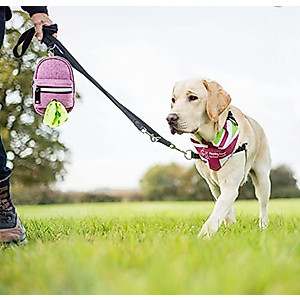 SUNNQ Dog Poop Bag Holder for Leashes, Dog Poop Bag Dispenser with Clip for Leash and Belt, Dog Treat Pouch for Training, Dog Waste Bag Holders for Walking Hiking Running Travel(Purple)