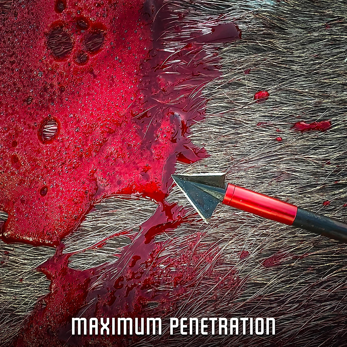 Elite Series 3 Blade 100 gr. Broadhead, 3PK