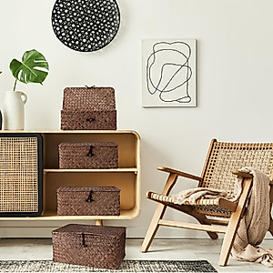 Woanger Set of 4 Seagrass Storage Bins with Lid Wicker Storage Baskets Organizer for Organizing, Woven Bins Home Utility Box for Home Office Supplies(Coffee)