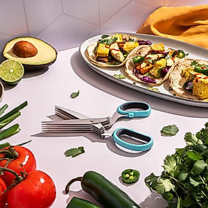 Jenaluca Herb Scissors with 5 Blades and Safety Cover - Cut, Chop & Mince Fresh Herbs & Leafy Greens - Stainless Steel Kitchen Shears with Cleaning Comb - Cool Kitchen Gadgets (Green)