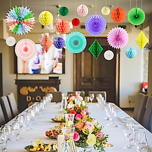 20Pcs Multi-Color Pastel Rainbow Paper Honeycomb Balls Fans Decoration Kit for Colorful Ceiling Decor Candy Birthday Party Baby Bridal Shower Wall Room Backdrop Decor Wedding Party Supplies