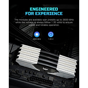 Acer Predator Talos 16GB (8GBx2) RAM 3000 MHz DDR4 CL16 1.35V Desktop Computer Gaming Memory Kit - BL.9BWWR.211