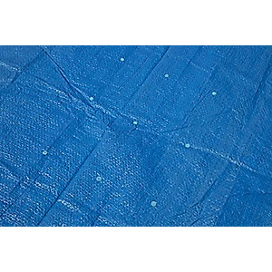 Bestway 58106 Above Ground Pool Cover, 118-inch by 79-inch, Blue