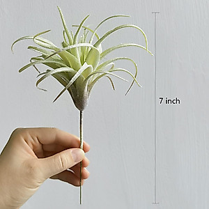 Artificial Air Plants Faux Succulents Plants Unpotted Small Tillandsia Look Real in Flocked Green Premium Crafting DIY Floral Decor for Home Garden Office Party, 3 pcs