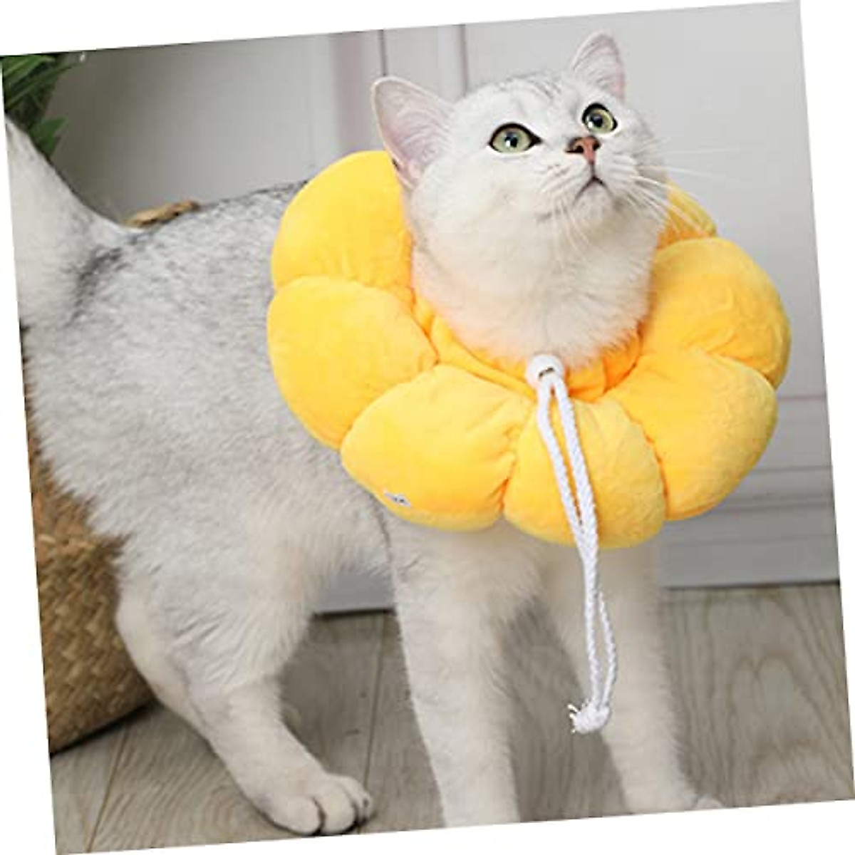 DOITOOL 3pcs Elizabeth Circle Surgery Protective Collar Cat Cone Collar Soft Cat Recovery Neck Cone Puppy Collars for Small Puppies Puppy Cone Puppies Collars Kitten Cat Headgear Pp Cotton