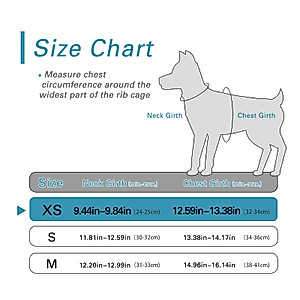 YIMEIS Dog Harness (XS, Blue) for Small Dogs, Lightweight Harness & Leash Set, Adjustable, Reflective, Breathable, 360°Visibility, Playful Style