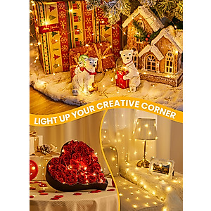 Minetom USB Fairy String Lights with Remote and Power Adapter, 66 Feet 200 Led Firefly Lights for Bedroom Wall Ceiling Christmas Tree Wreath Craft Wedding Party Decoration, Warm White