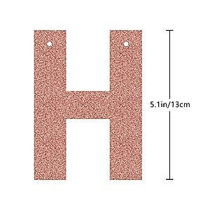 Rose Gold 9th Birthday Banner, Glitter Happy 9 Years Old Boy or Girl Party Decorations, Supplies