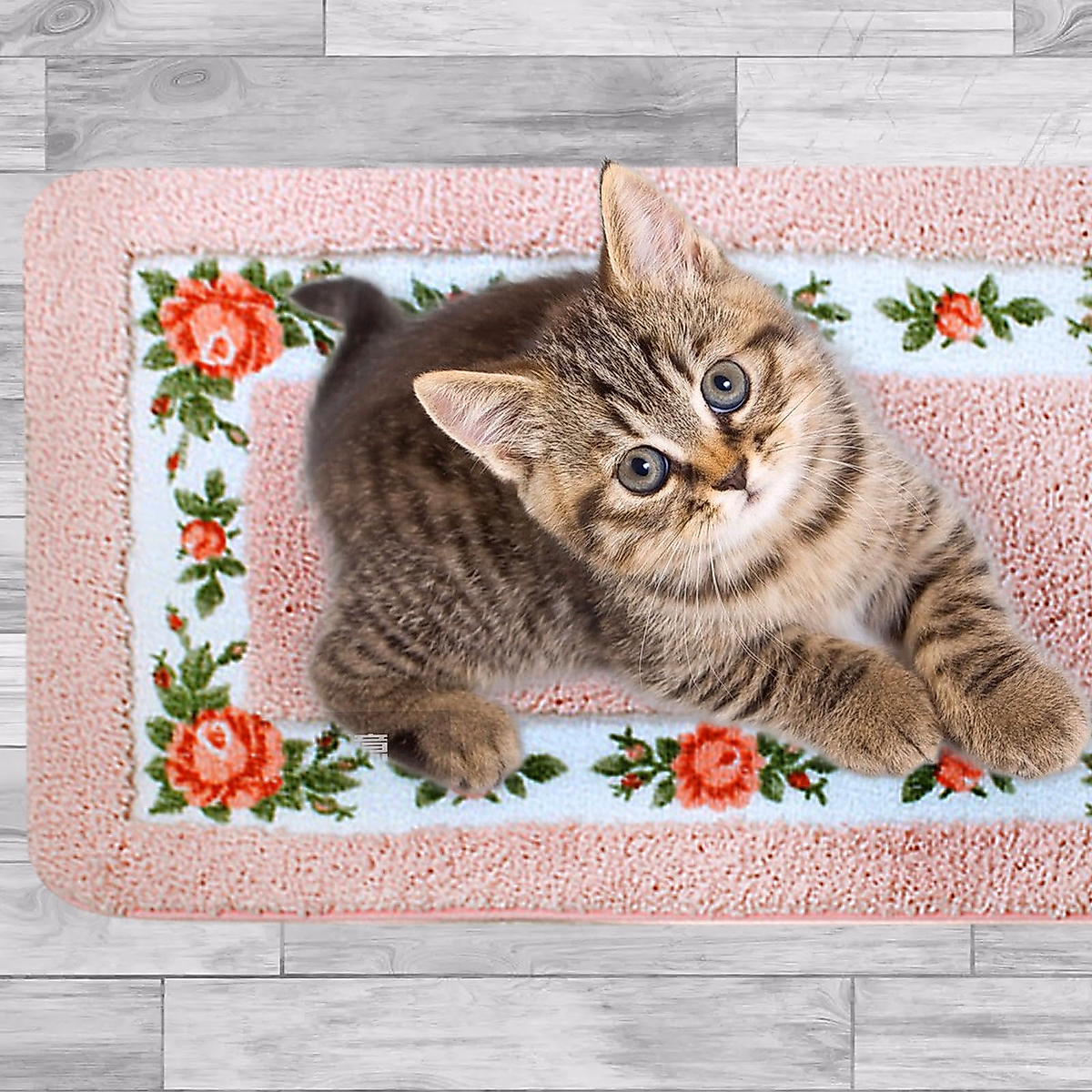 Barelove Rose Floral Area Rugs Ultra Soft Low Pile Shag Rug, Non Slip Washable Modern Floor Mat Pad for Living Room Bedroom Bathroom Dorm Kitchen Entryway, Christmas Decoration,17.7 X 29.5 INCH