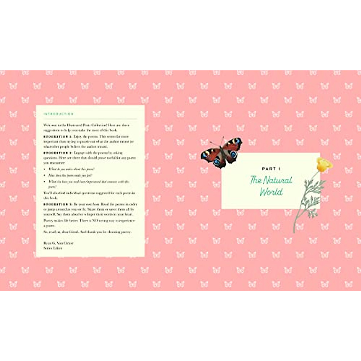 The Illustrated Emily Dickinson: 25 Essential Poems (The Illustrated Poets Collection, 1)