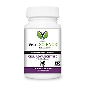 VetriScience Immune Plus Immunity Support for Dogs, 120 Capsules – Immune and Allergy Support Supplement for Dogs Over 30 Pounds - Formerly Cell Advance 880