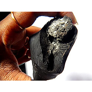 XUETZALCOATL Sacred Adbhut Vaikutha Sarv Shaligram Nepal Kali Gandaki