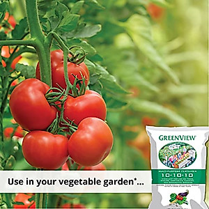 GreenView 2129872 Multi-Purpose Fertilizer, 33 lb bag - NPK 10-10-10
