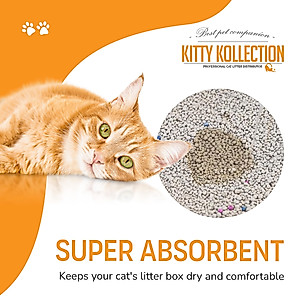 Kitty Kollection - Premium Bentonite Cat Litter, Easy-to-Clump Super Absorbent Kitty Litter with Excellent Odor Control, Toxin-&-Dust-Free Unscented Cat Litter, 5L