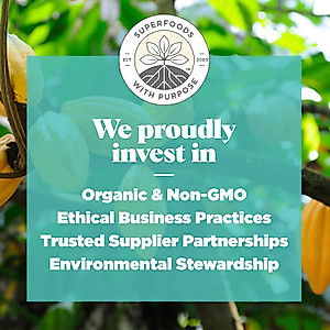 Navitas Organics Superfood Power Snacks, Cacao Goji, 8 oz. Bag, 11 Servings — Organic, Non-GMO, Gluten-Free