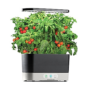 AeroGarden Salsa Garden Seed Pod Kit (6-pod)