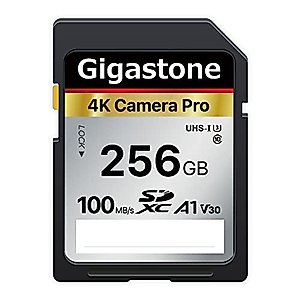 Gigastone 256GB SD Card V30 SDXC Memory Card High Speed 4K Ultra HD UHD Video Compatible with Canon Nikon Sony Pentax Kodak Olympus Panasonic Digital Camera, with 1 Mini case