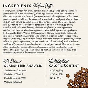 Fromm Four-Star Nutritionals Salmon A La Veg Dog Food - Premium Dry Dog Food - Salmon Recipe - 26 lb