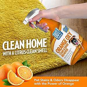 OUT! PetCare Orange Oxy Stain & Odor Remover | Oxy Clean Pet Stain and Odor Eliminator | 32 oz