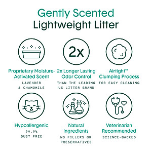 Boxie Gently Scented Cat Litter, Lightweight 30-Day Odor Control, Clumping, 11.5lb
