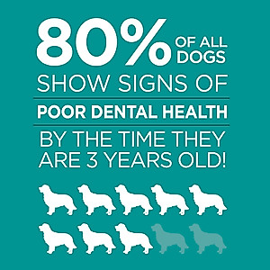 Tevra Pet Brush Free Oral Gel for Pets