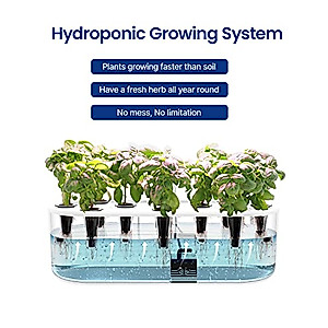 iDOO 10Pods Indoor Garden & Accessories Kit