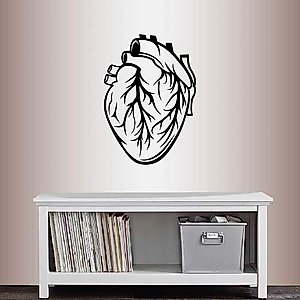 Wall Vinyl Decal Home Decor Art Sticker Human Heart Internal Organ Anatomy Room Removable Stylish Mural Unique Design 2215