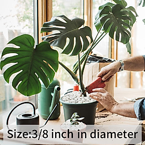 FANTIAN 2 lbs White Gravel, 3/8 Inch White Pebbles for Indoor Plants. White Stones for Succulents, Planters, Vase and Outdoor Garden Landscaping