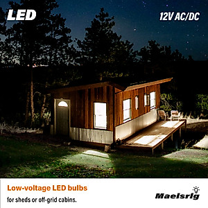 LED 12V Light Bulb, 100W Equivalent, Daylight White 5000K, 13W 1200 Lumens, 12 Volt AC/DC, Non-Dimmable E26 Base, Low Voltage Light Bulbs for Boat, RV, Shed, Off Grid Cabin, and Solar Power, 4-Pack