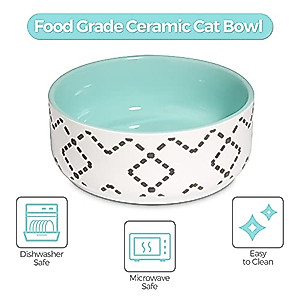 MSBC Ceramic Cat Bowls(13oz/390ml), Cute Cat Food and Water Feeder Set, Dog Cat Basic Bowl, Small Pet Feeding Dishes for Cat, Kitten, Small Dog, Whisker Stress Free, Dishwasher Safe, Set of 2, Blue