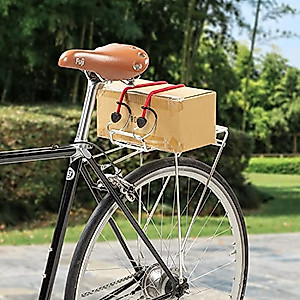 Nite Ize, Inc. BHL24-10-R3 Nite IZE HookLock, Premium Steel Locking Hook Bungee Cord, 24 Inch, Red